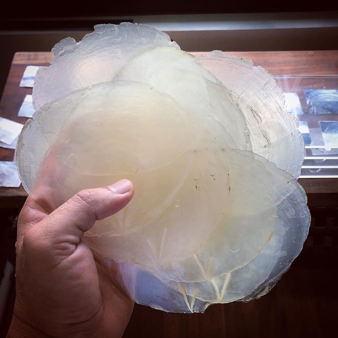 Object of the Week: Celebrating the Art of Capiz | Metro.Style