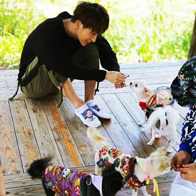 Pet Of The Week: Jjoonjie Is Remembered By K-Drama Star, Lee Joon-Gi ...