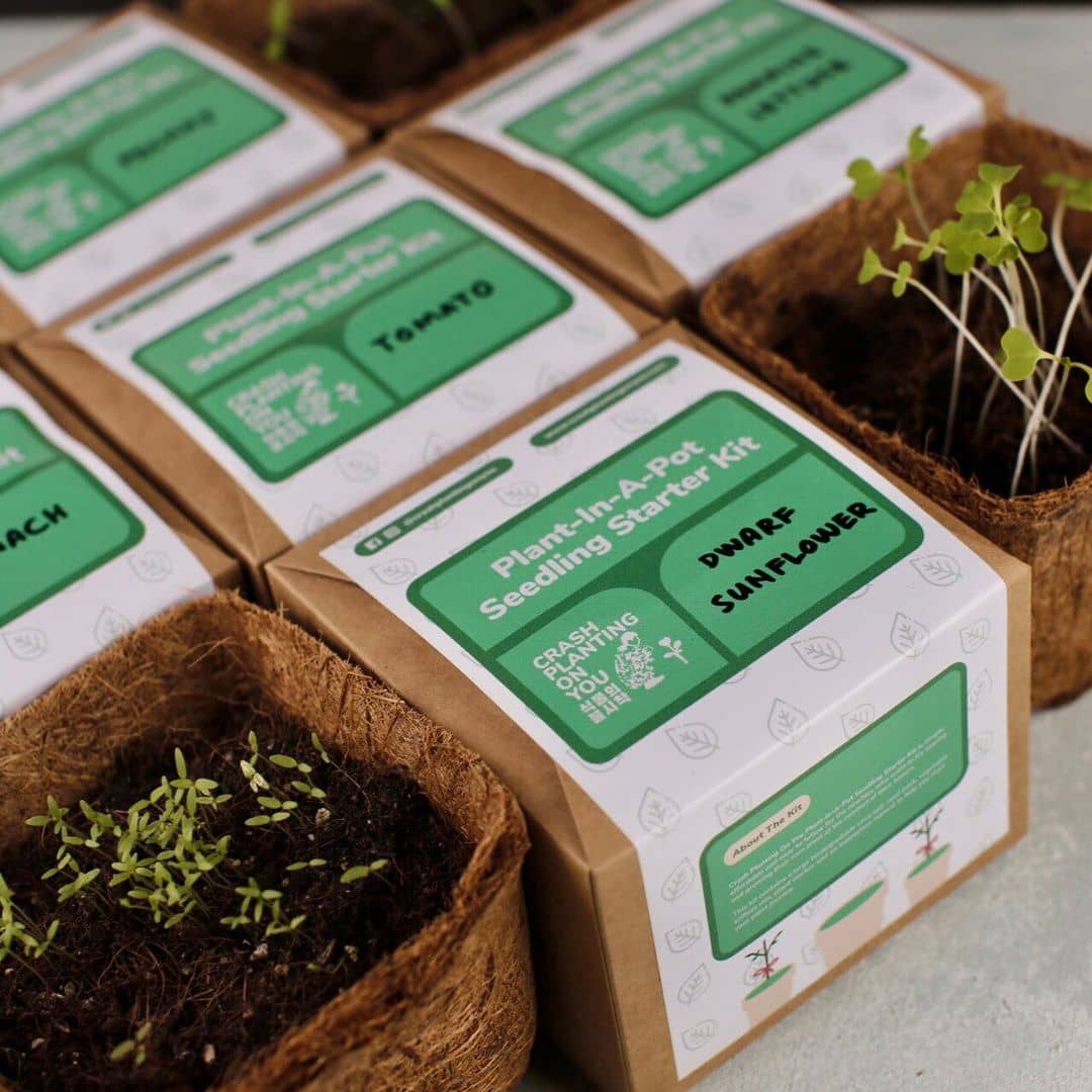 SPOTLIGHT: Crash Planting On You Will Jump Start Your Plant-Growing ...