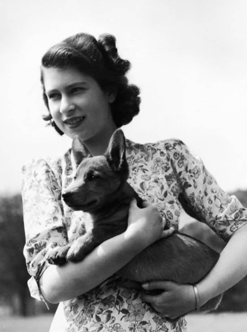 10 Must-Knows About The Queen’s Favorite Corgi Dogs | Metro.Style