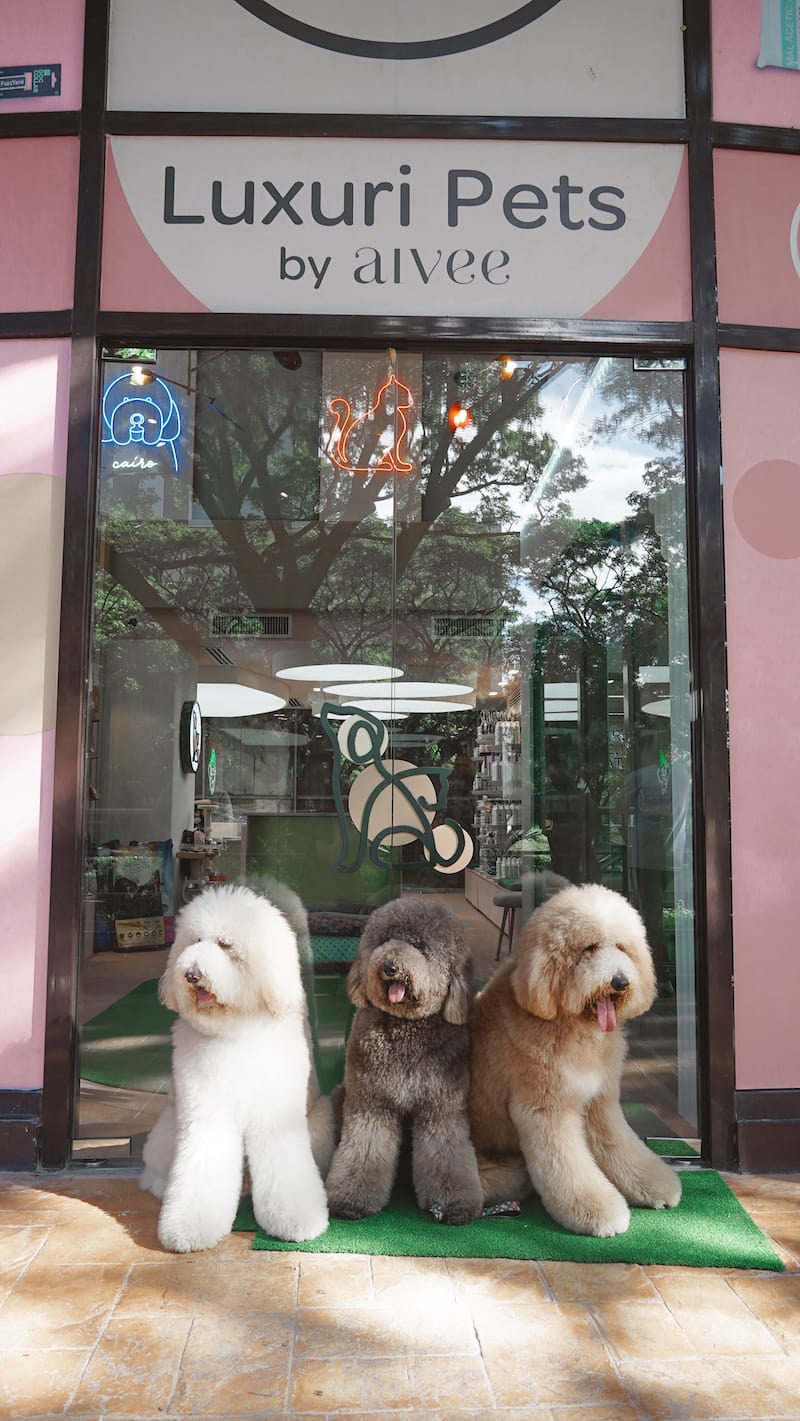 This Pet Haven Opens Its Second Home In The South | Metro.Style