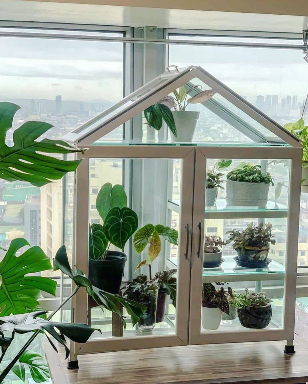 10 Clever Plant Racks That Will Organize And Beautify Your Green Spaces ...