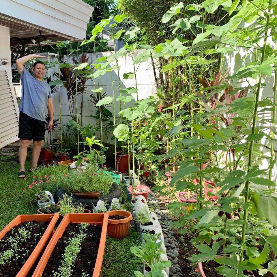 The Metro Green Thumb Club: Paco Magsaysay Transforms His Home's Free ...