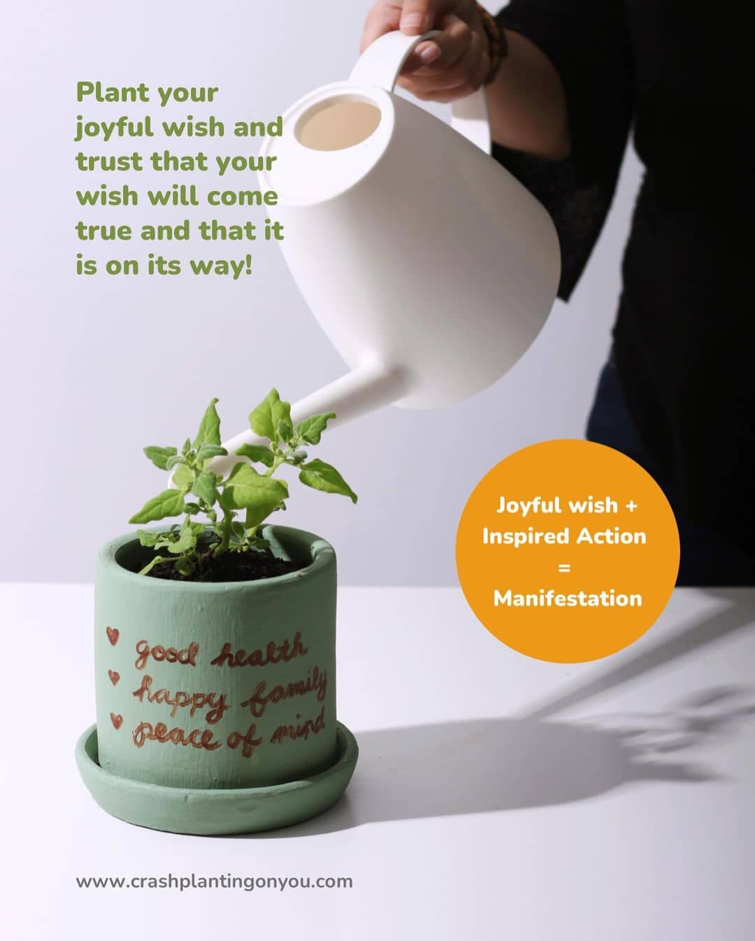 SPOTLIGHT: Crash Planting On You Will Jump Start Your Plant-Growing ...