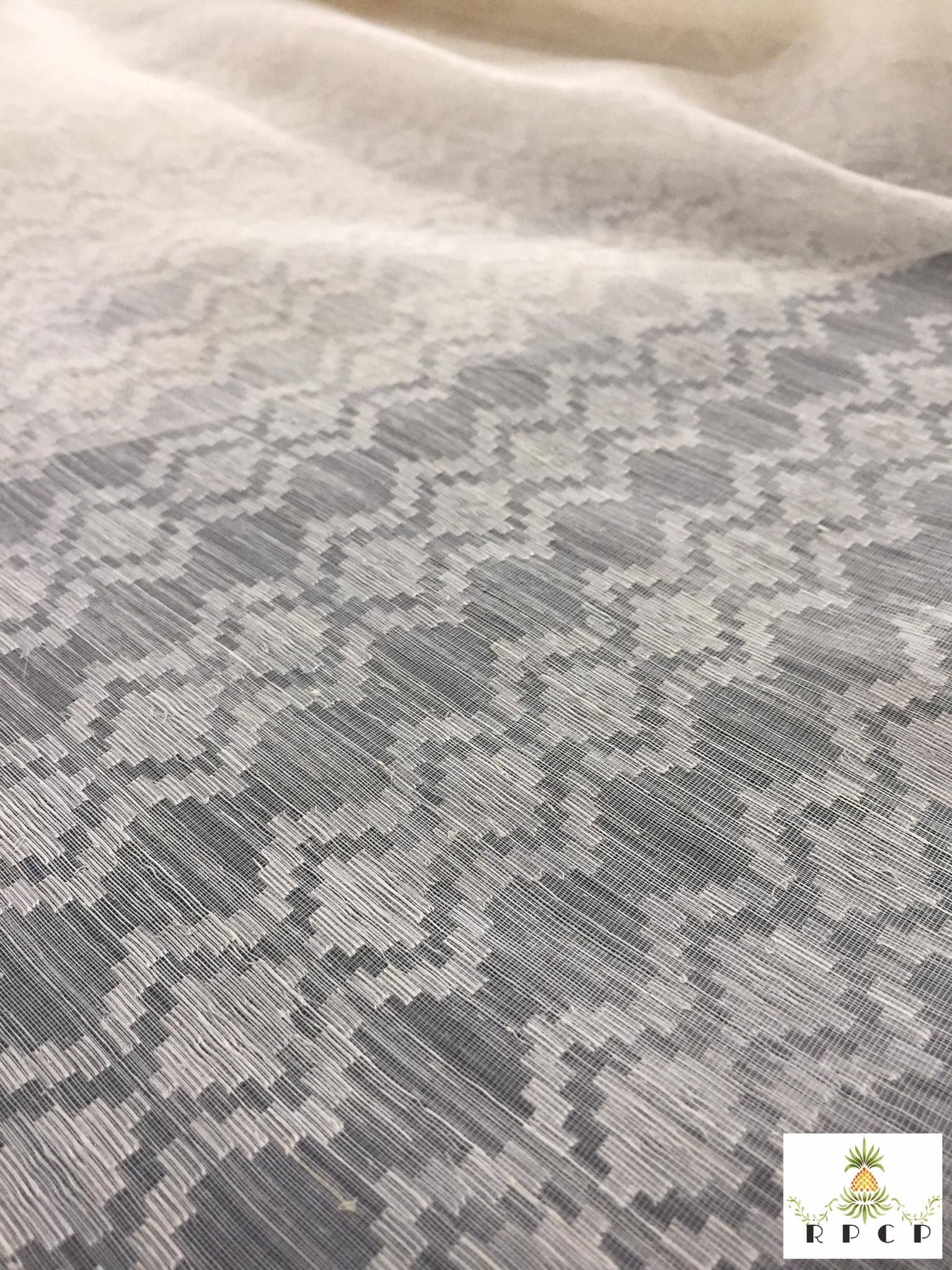 Fascinating Women: Award-Winning, Internationally Recognized Piña ...