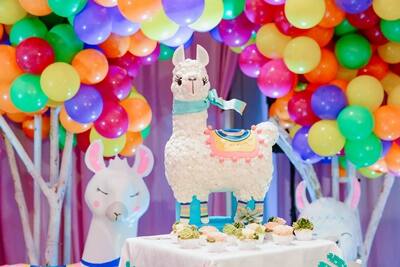 This Little Girl's Peru-Themed Birthday Was A Pretty Explosion Of ...