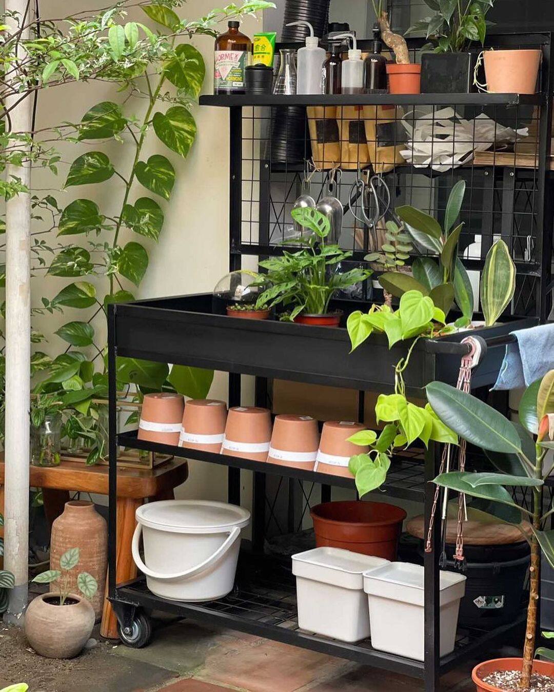 10 Clever Plant Racks That Will Organize And Beautify Your Green Spaces ...