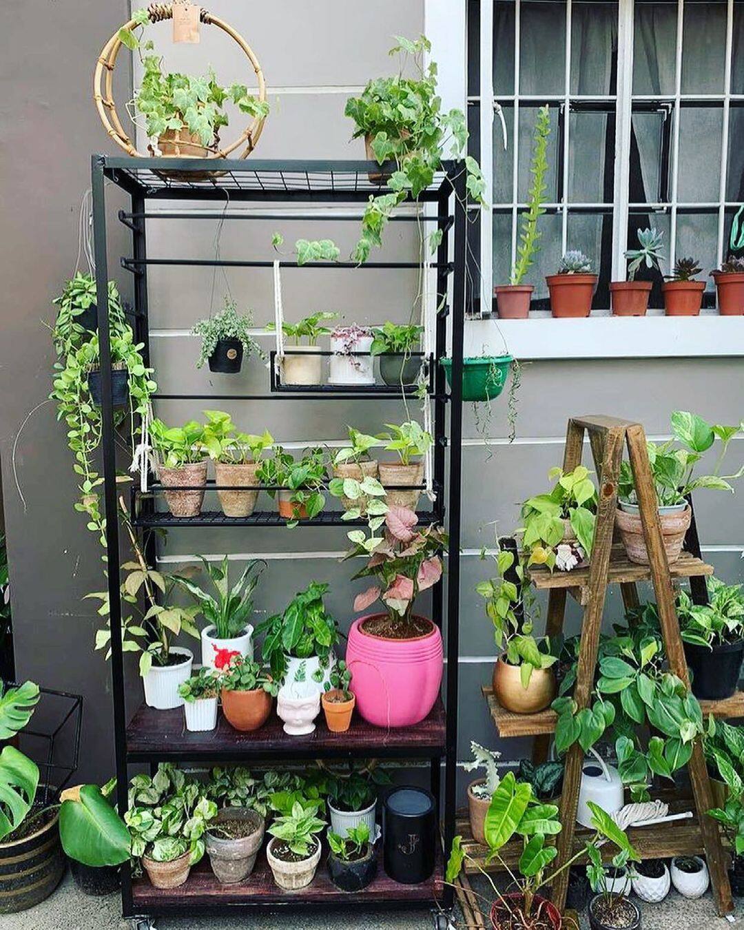 10 Clever Plant Racks That Will Organize And Beautify Your Green Spaces ...
