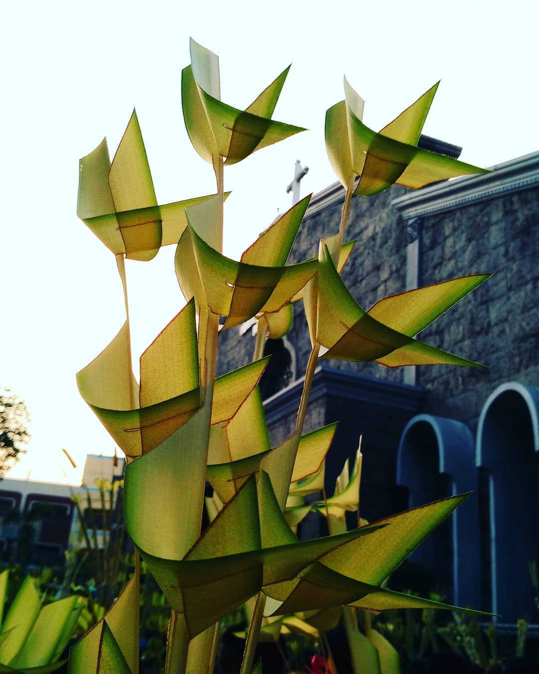 Object of the Week: The Palaspas | Metro.Style