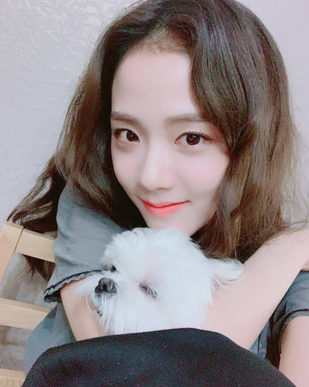 Jung Hae-In And BLACKPINK’s Jisoo Are The Cutest Pair Of Dog Lovers ...