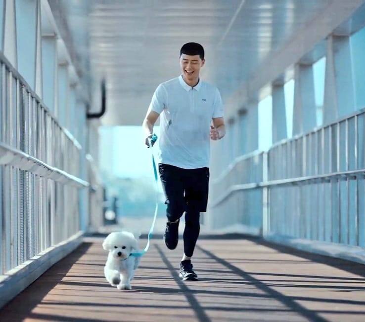 Pet Of The Week: If Only Park Seo- Joon Can Cuddle With You Like He ...