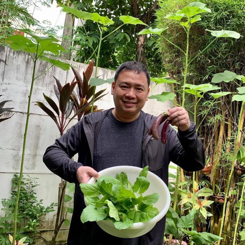 The Metro Green Thumb Club: Paco Magsaysay Transforms His Home's Free ...