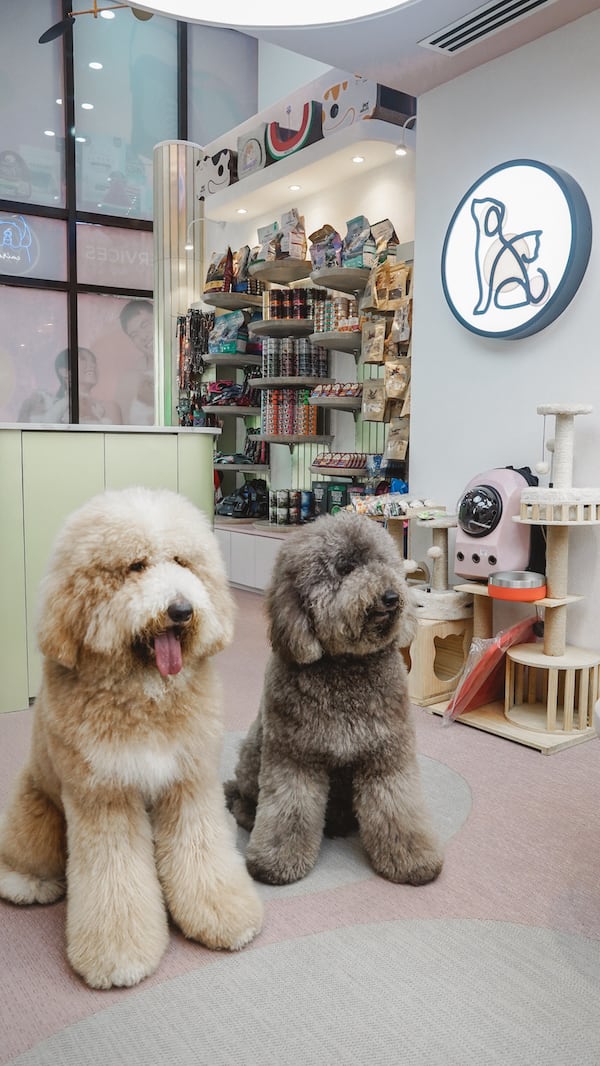This Pet Haven Opens Its Second Home In The South | Metro.Style