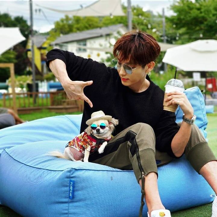 Pet Of The Week: Jjoonjie Is Remembered By K-Drama Star, Lee Joon-Gi ...