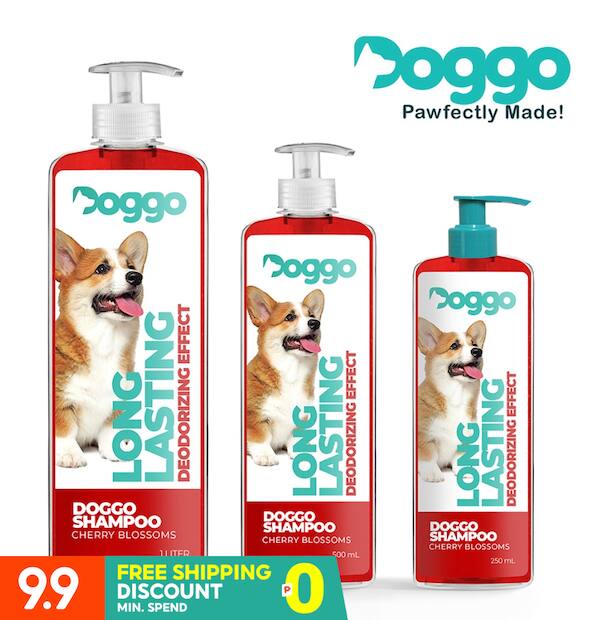 Proud Celeb Fur-rents Megan Young And Mikael Daez Endorse Doggo | Metro ...